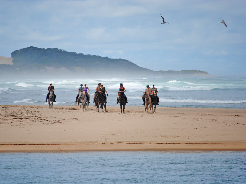 Fun Things To Do In East London Travelstart co za fun-things-to-do-in-east-london-travelstart-co-za