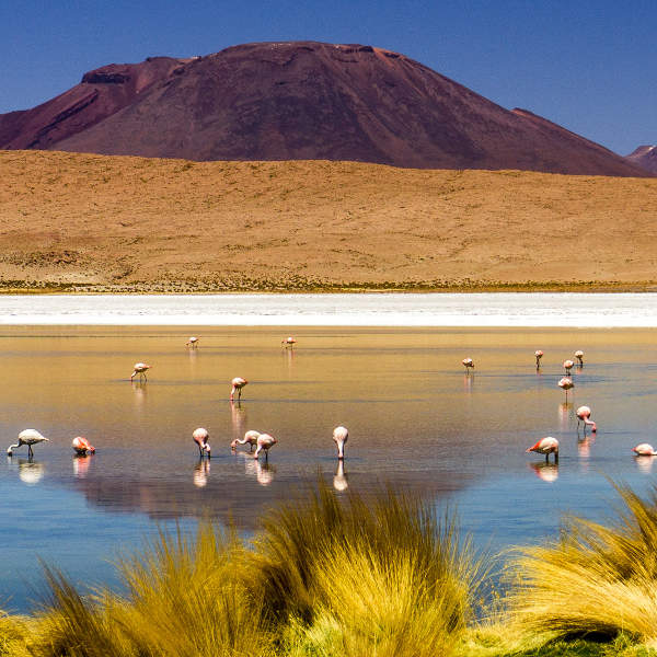 Cheap Flights To Bolivia: The Best Fares – Travelstart.co.za